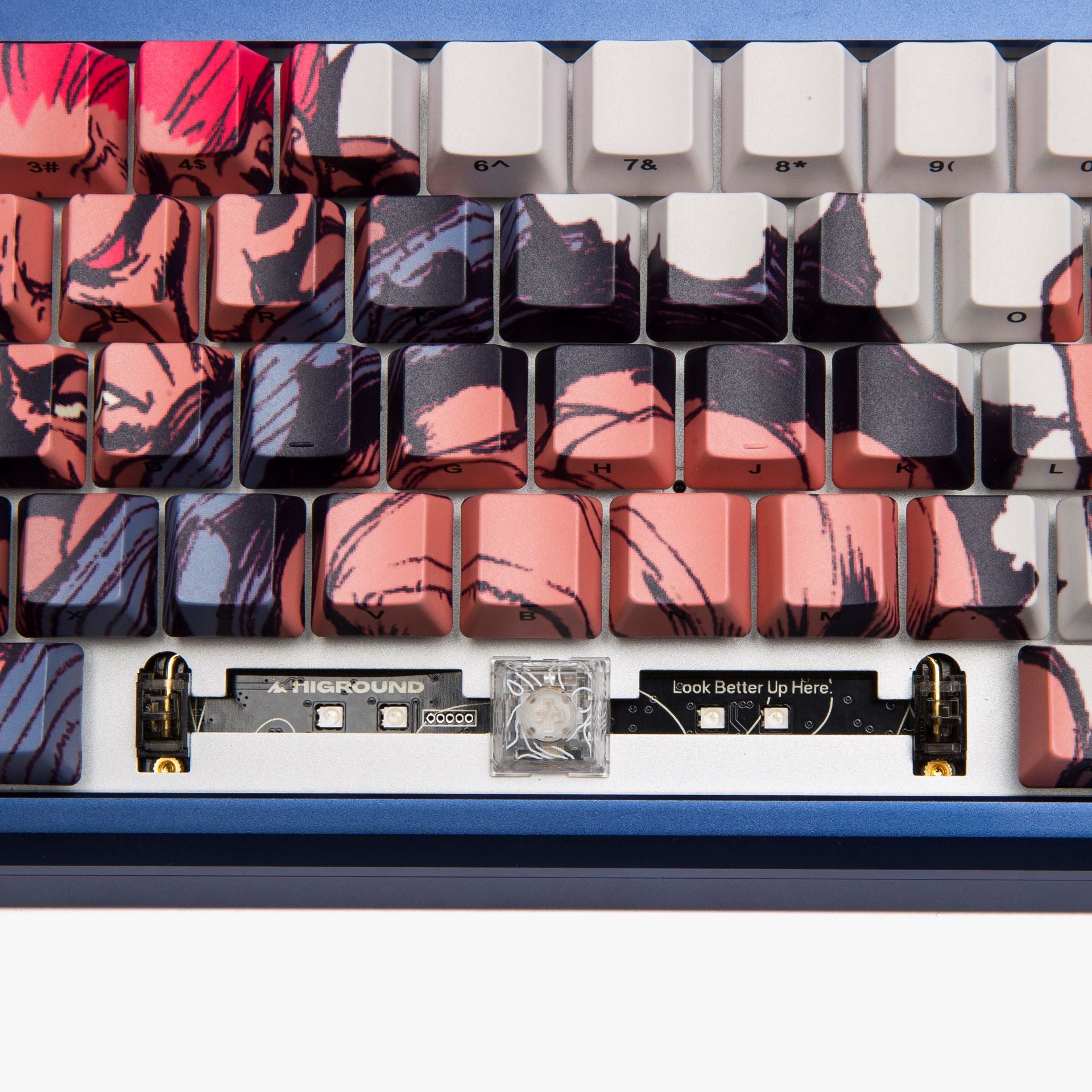 SF x HG Summit 65 - Akuma (Blue Gi) – Higround