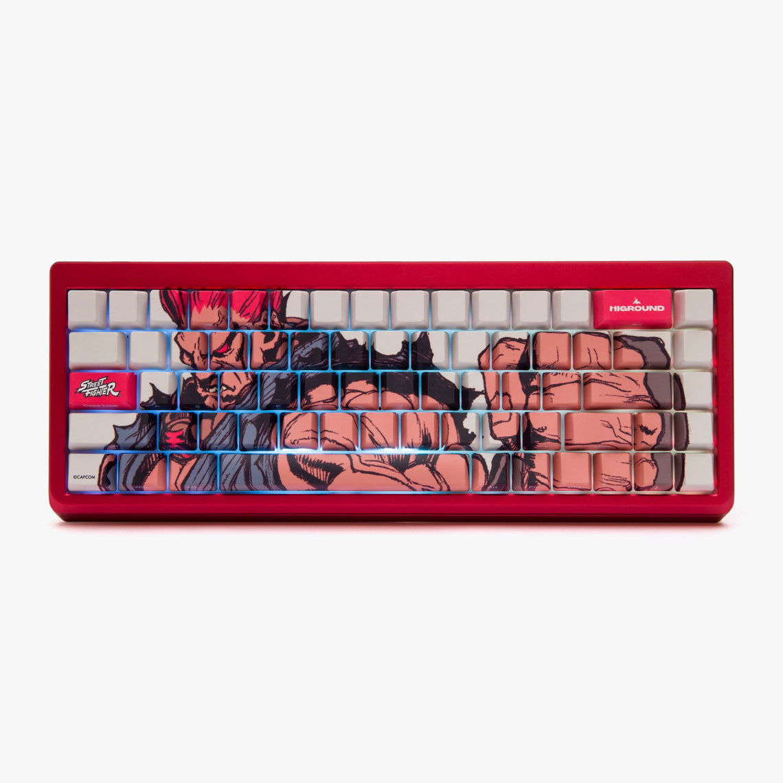 Street Fighter x Higround